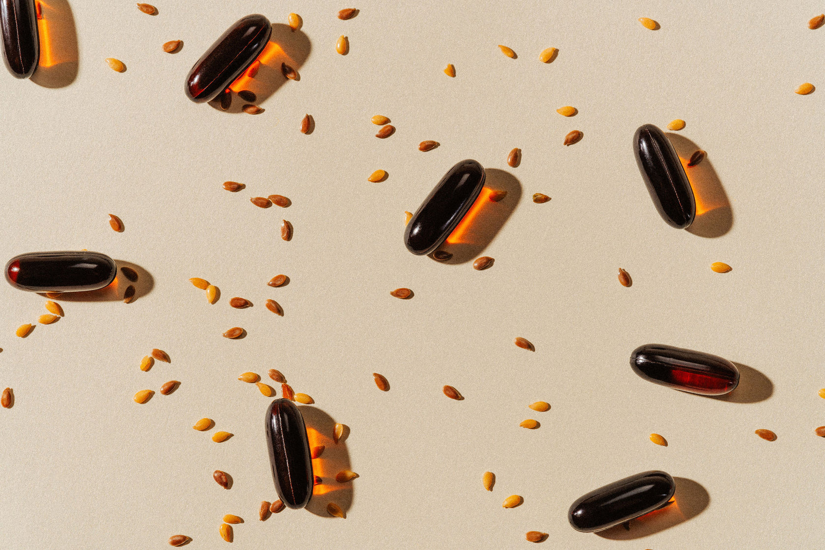 Omega Nutrition – Omega Nutrition USA Inc