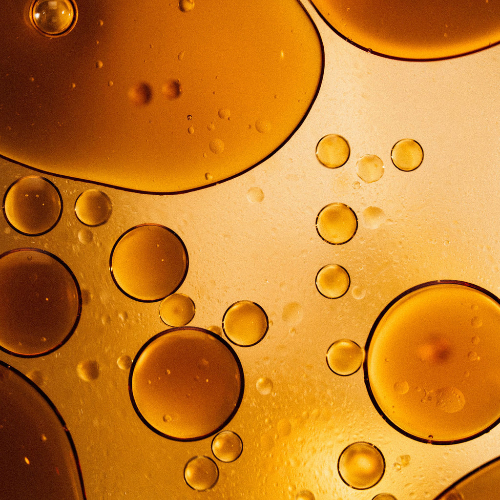 Omega Nutrition – Omega Nutrition USA Inc