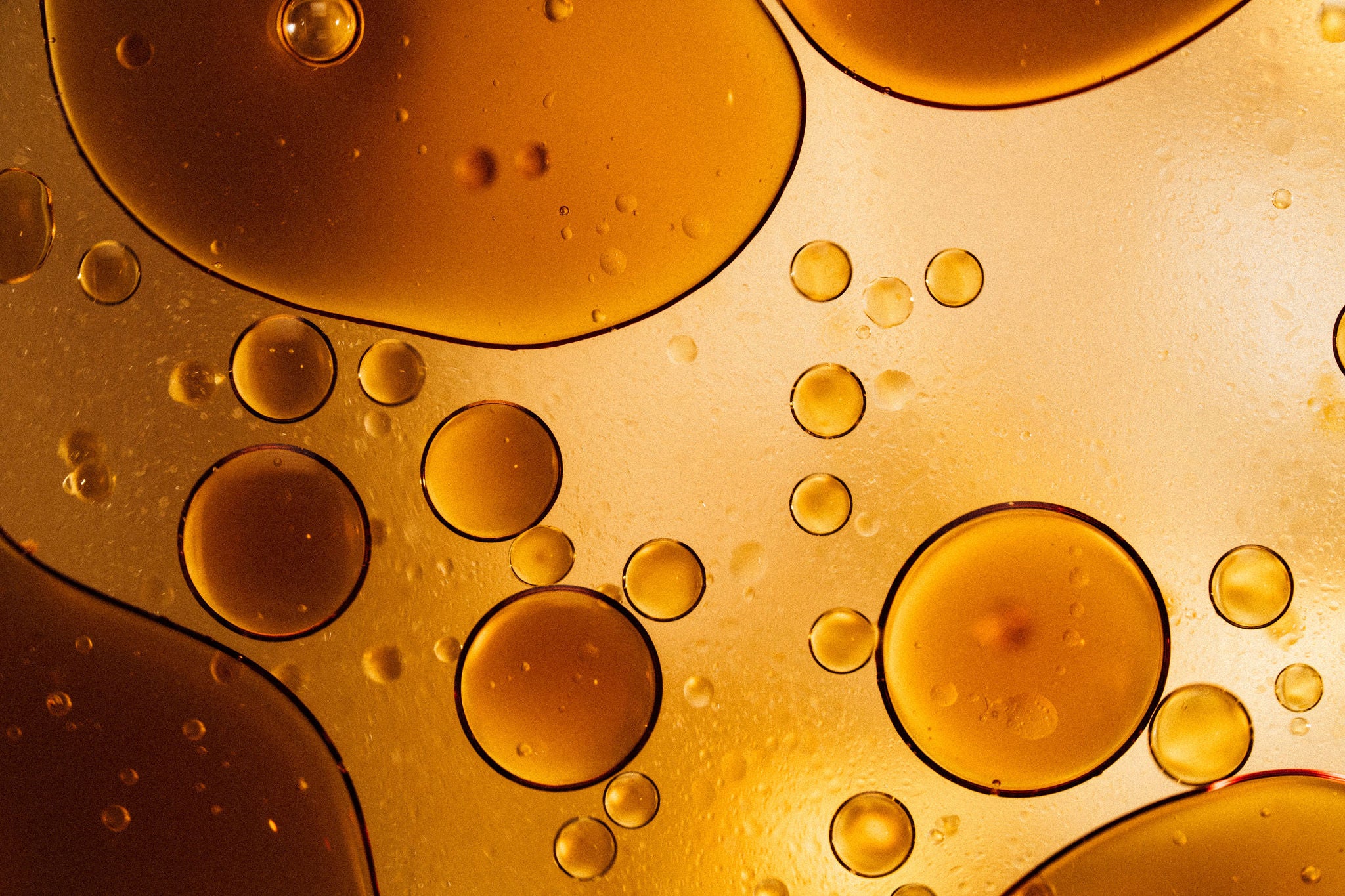 Omega Nutrition – Omega Nutrition USA Inc