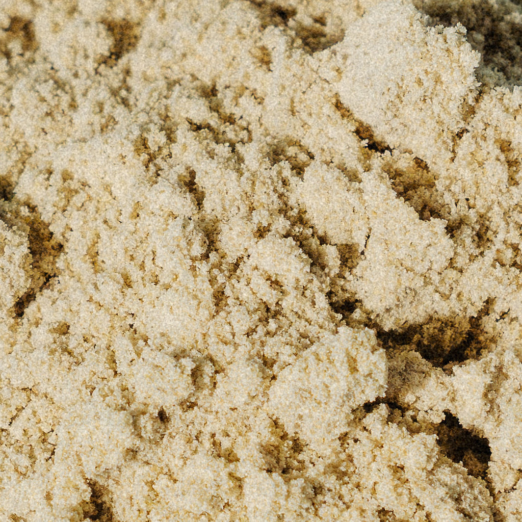 Omega Nutrition – Omega Nutrition USA Inc